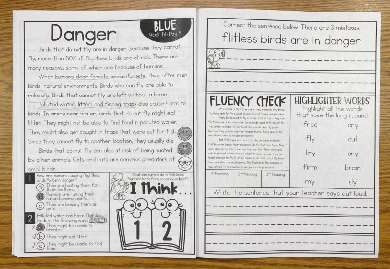 Reading Skills & Strategies: What is the difference? - The Primary Gal